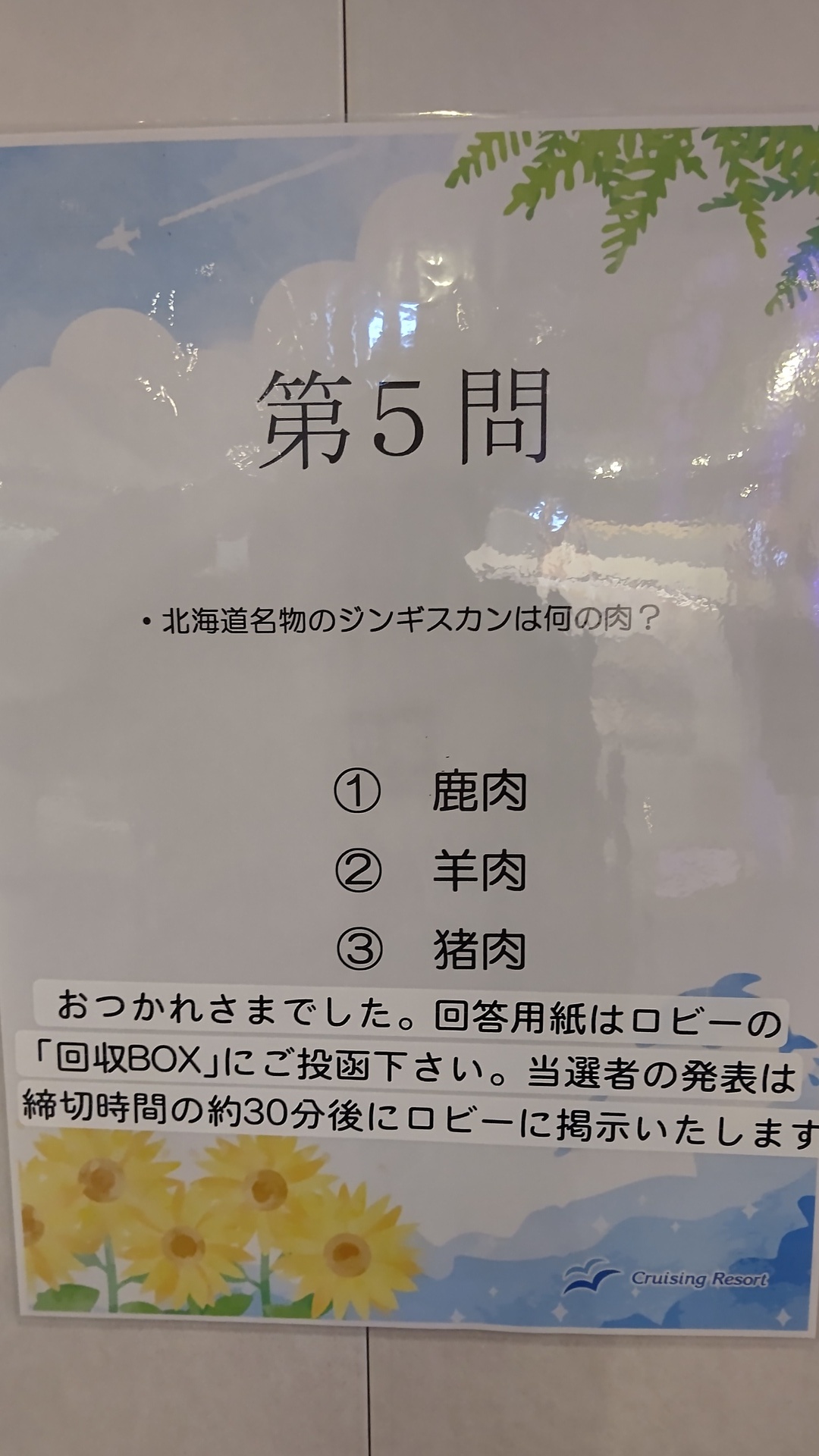フェリー放浪記第三部（十） 新日本海フェリーの臨時代走「らいらっく」: 航海作家カナマルトモヨシの船旅人生